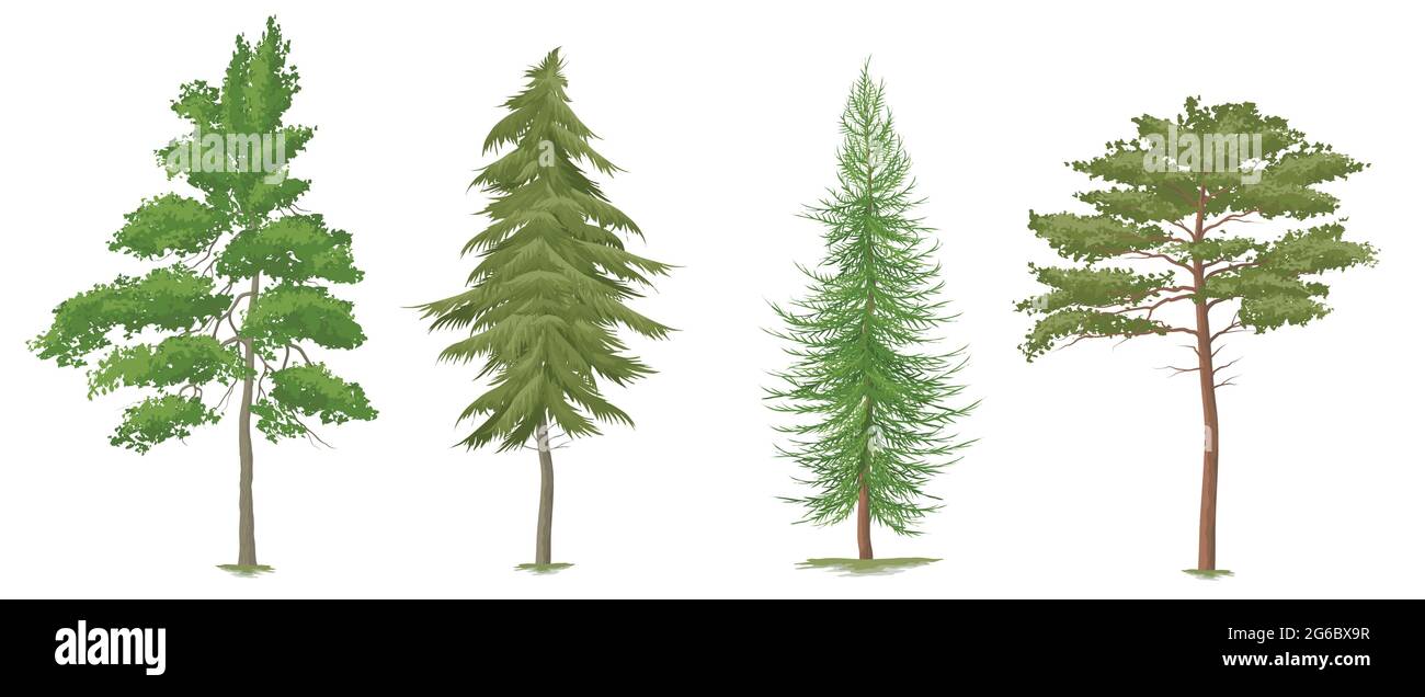 The collection of trees. Vector EPS 10 Stock Vector Image & Art - Alamy