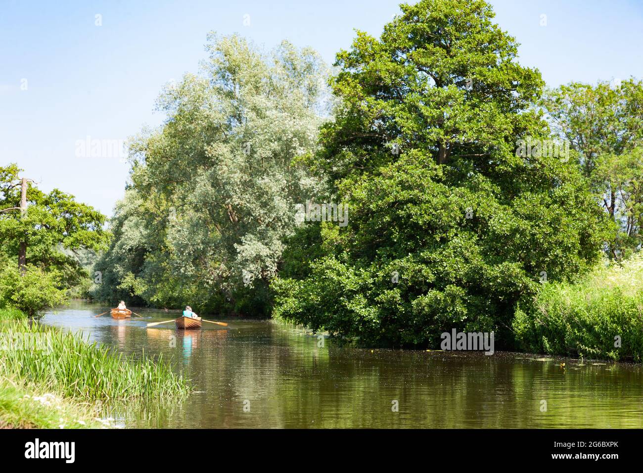Dedham essex rowing hi-res stock photography and images - Alamy