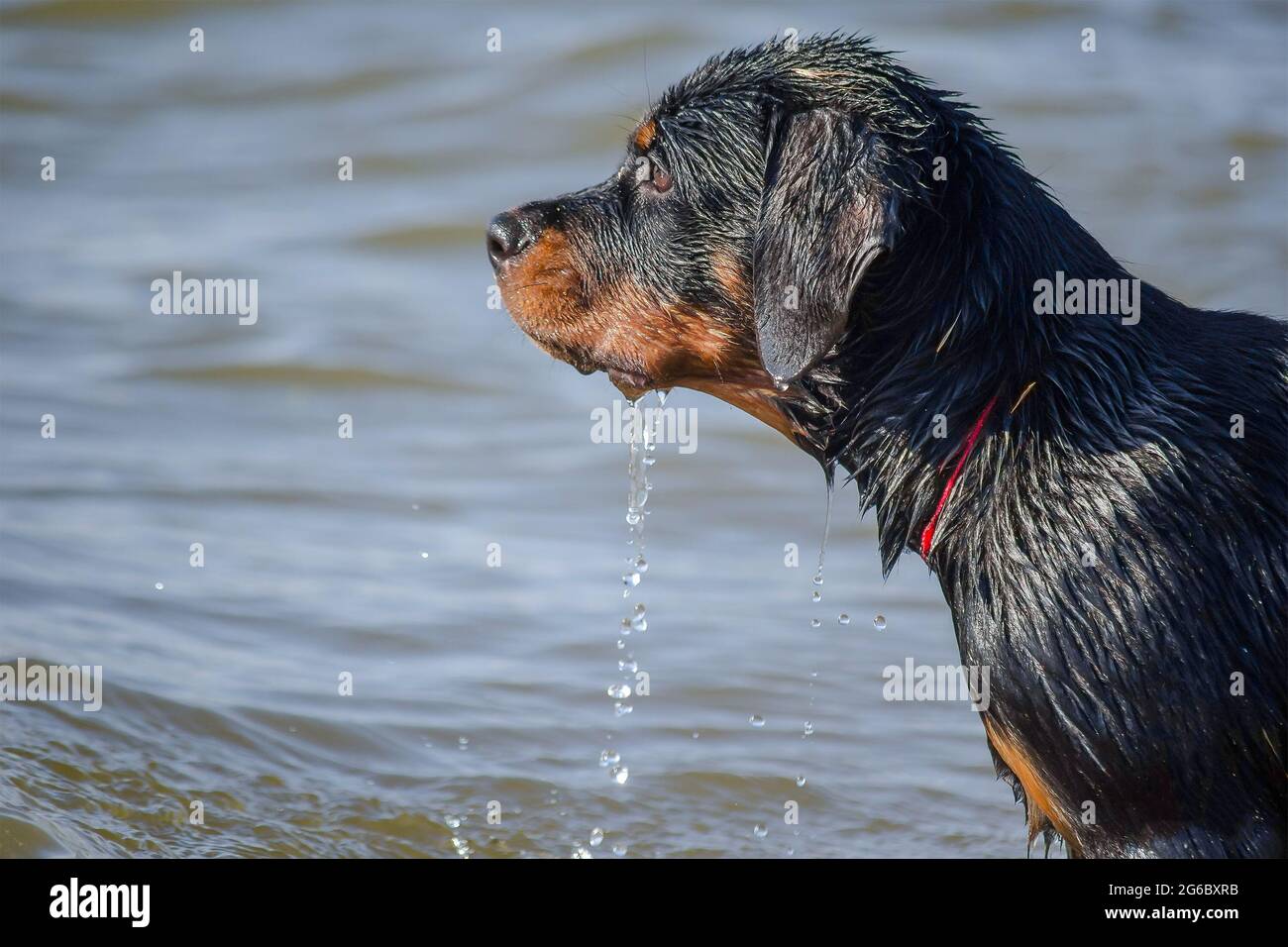 Water dripping from face hi-res stock photography and images - Alamy