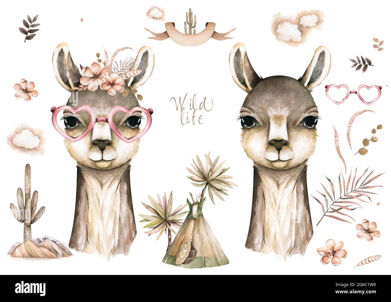 Lama head isolated. guanaco face in watercolor style. Wild nature ...