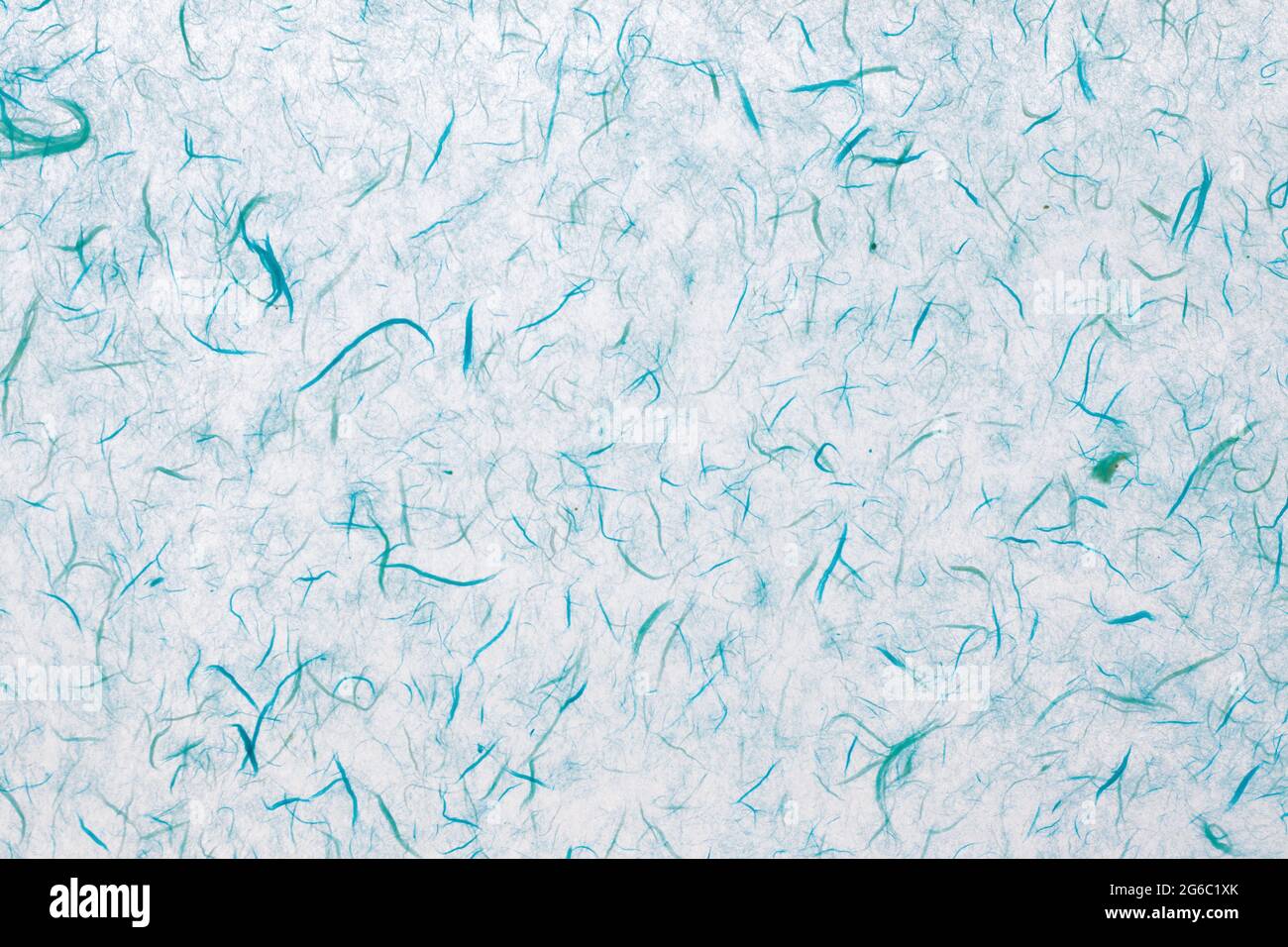 Full frame background texture image has a pulp pattern and transparent ...