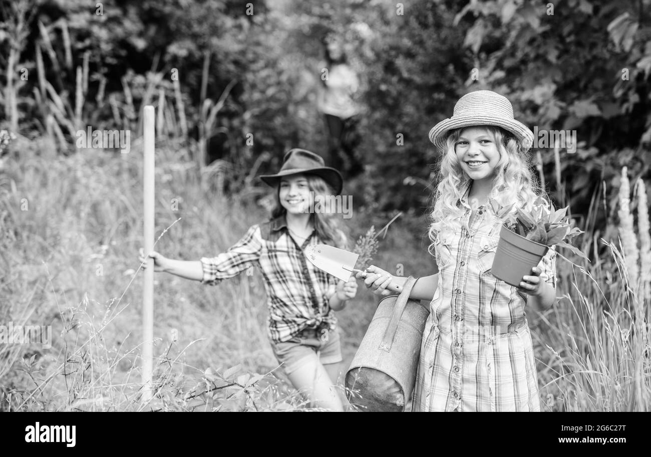 Sisters helping at farm. Kids siblings having fun at farm. On way to ...