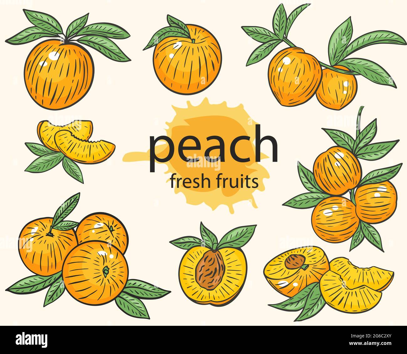 Peaches, vector hand drawing set Stock Vector Image & Art - Alamy