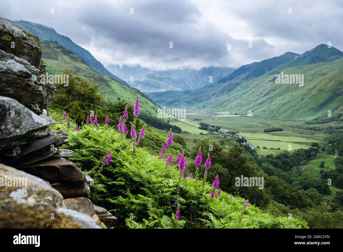 View up Nant Ffrancon valley to cloud covered mountains of Snowdonia ...
