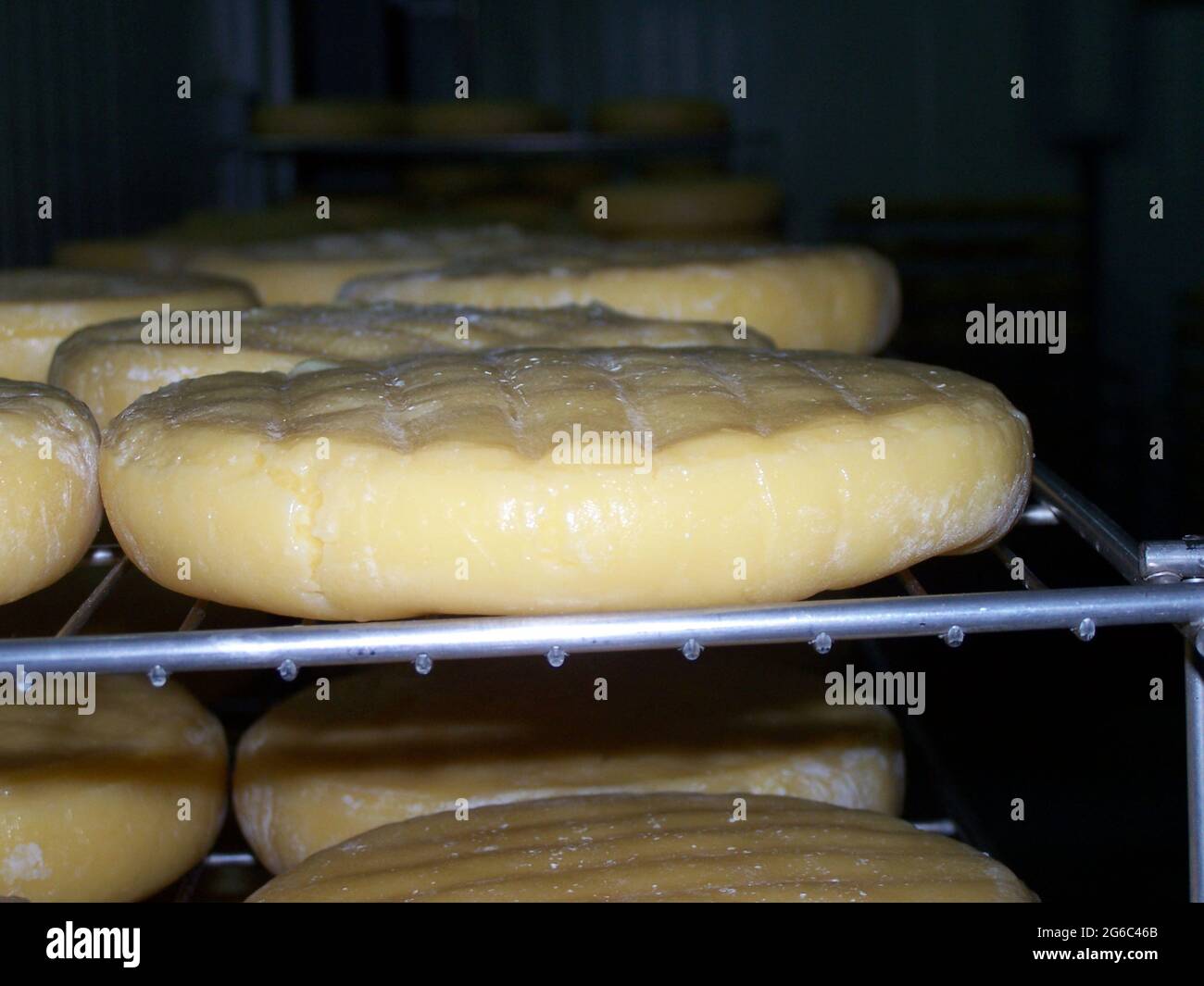 Cheese production in the Azores, Portugal Stock Photo - Alamy