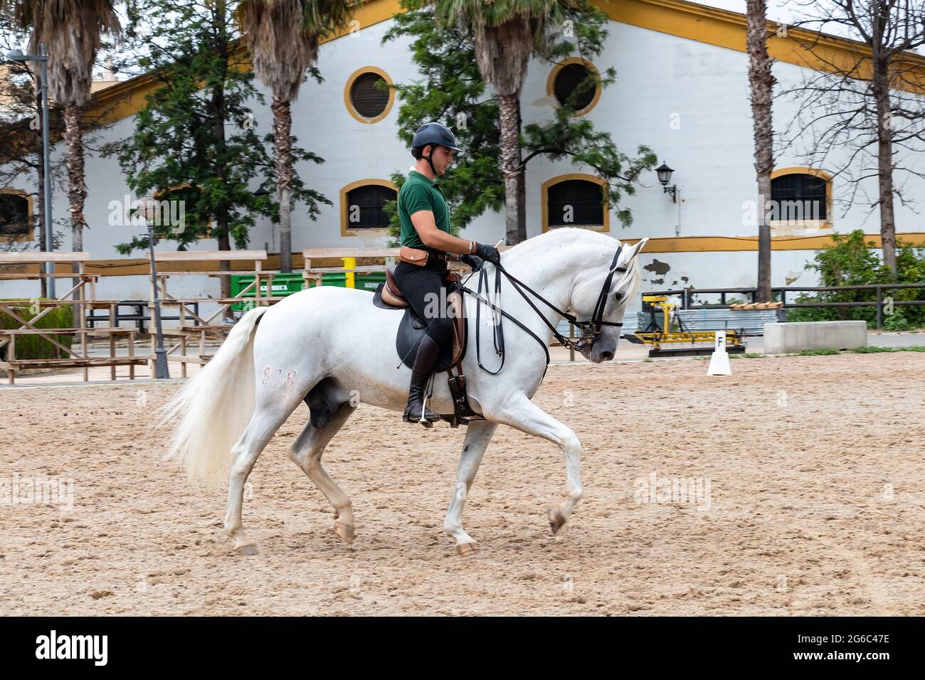 Woman riding andalusian horse hi-res stock photography and images - Alamy