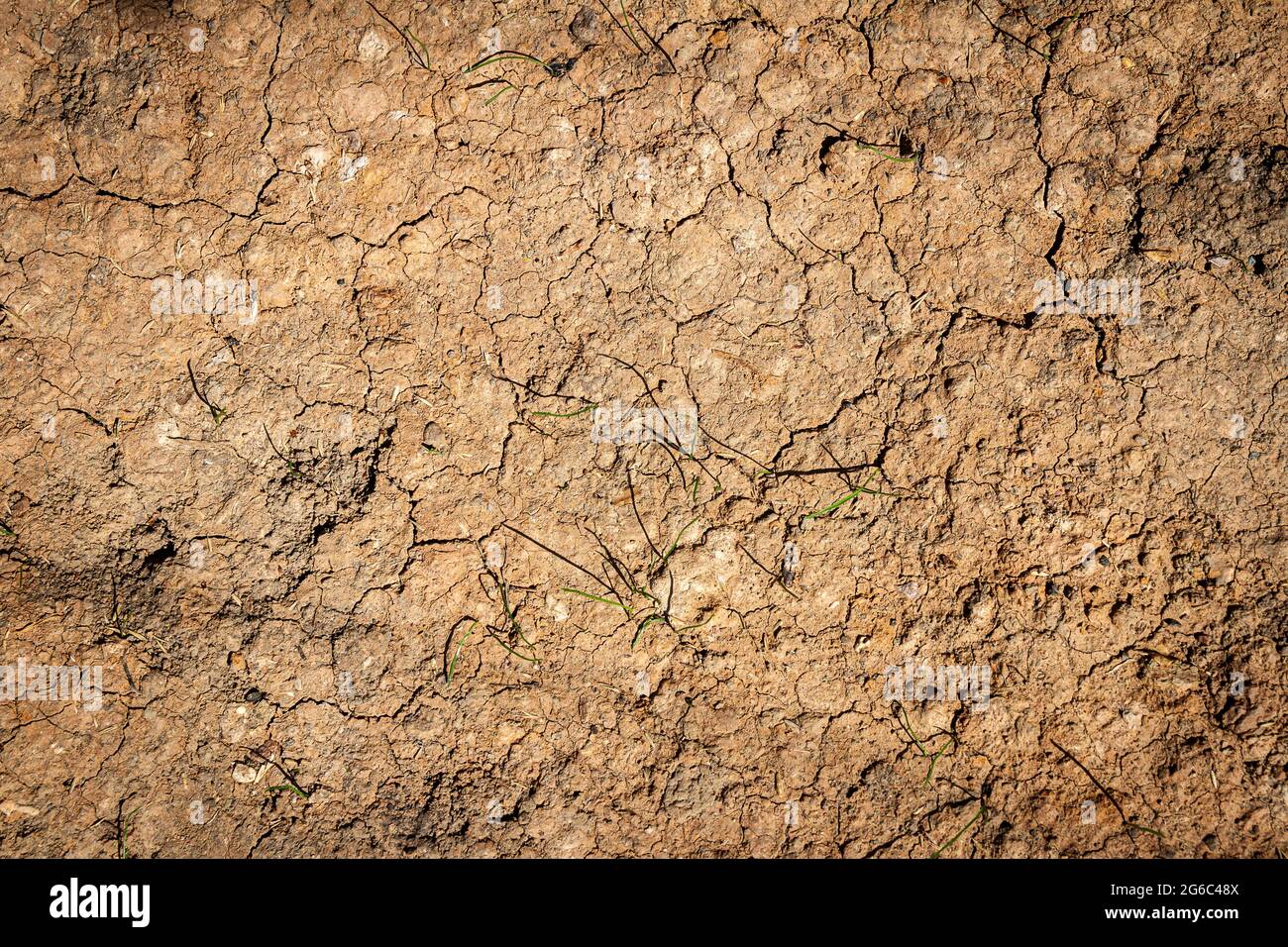 Abstract ground texture with clumps. Soil background Stock Photo - Alamy