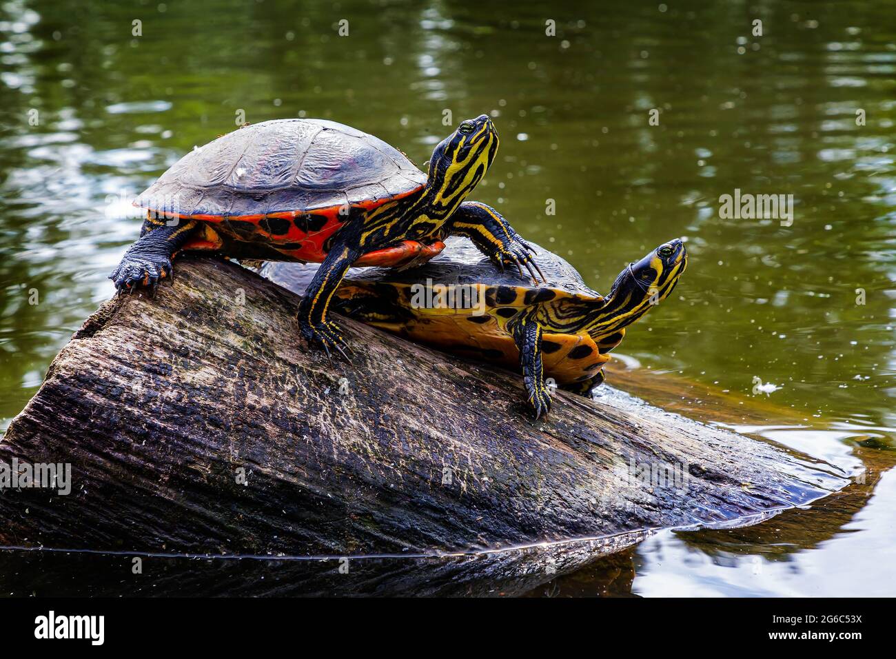 Ackers Pit High Resolution Stock Photography and Images - Alamy