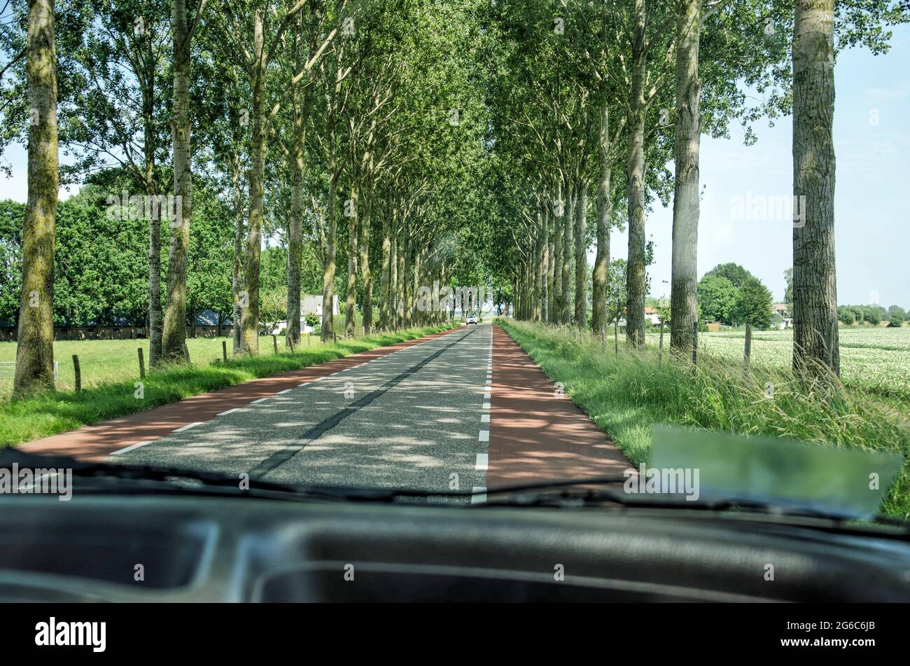 View from a car interior on a straight asphalt road on the island of ...