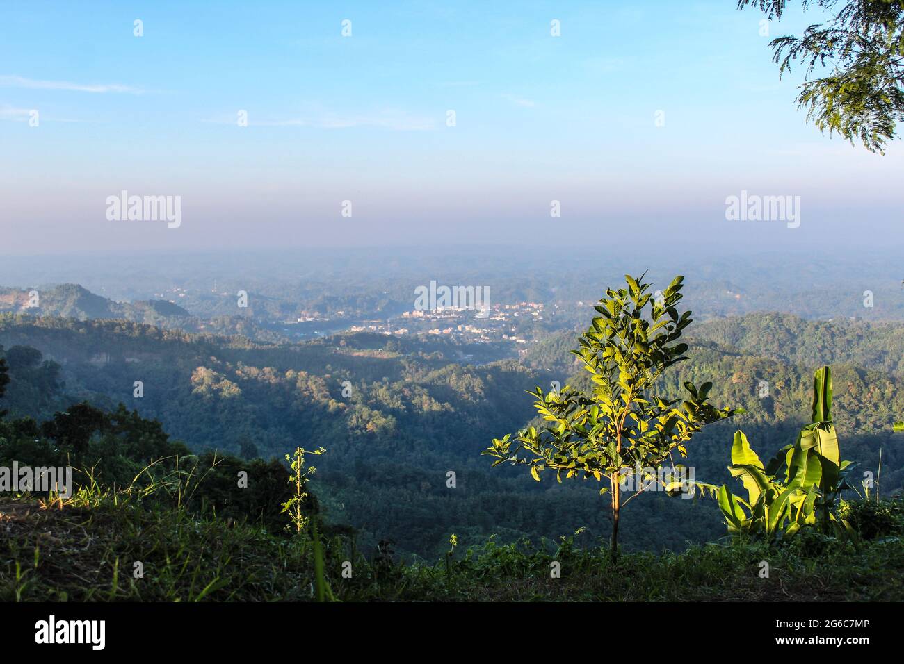 Jungle landscapes hi-res stock photography and images - Alamy