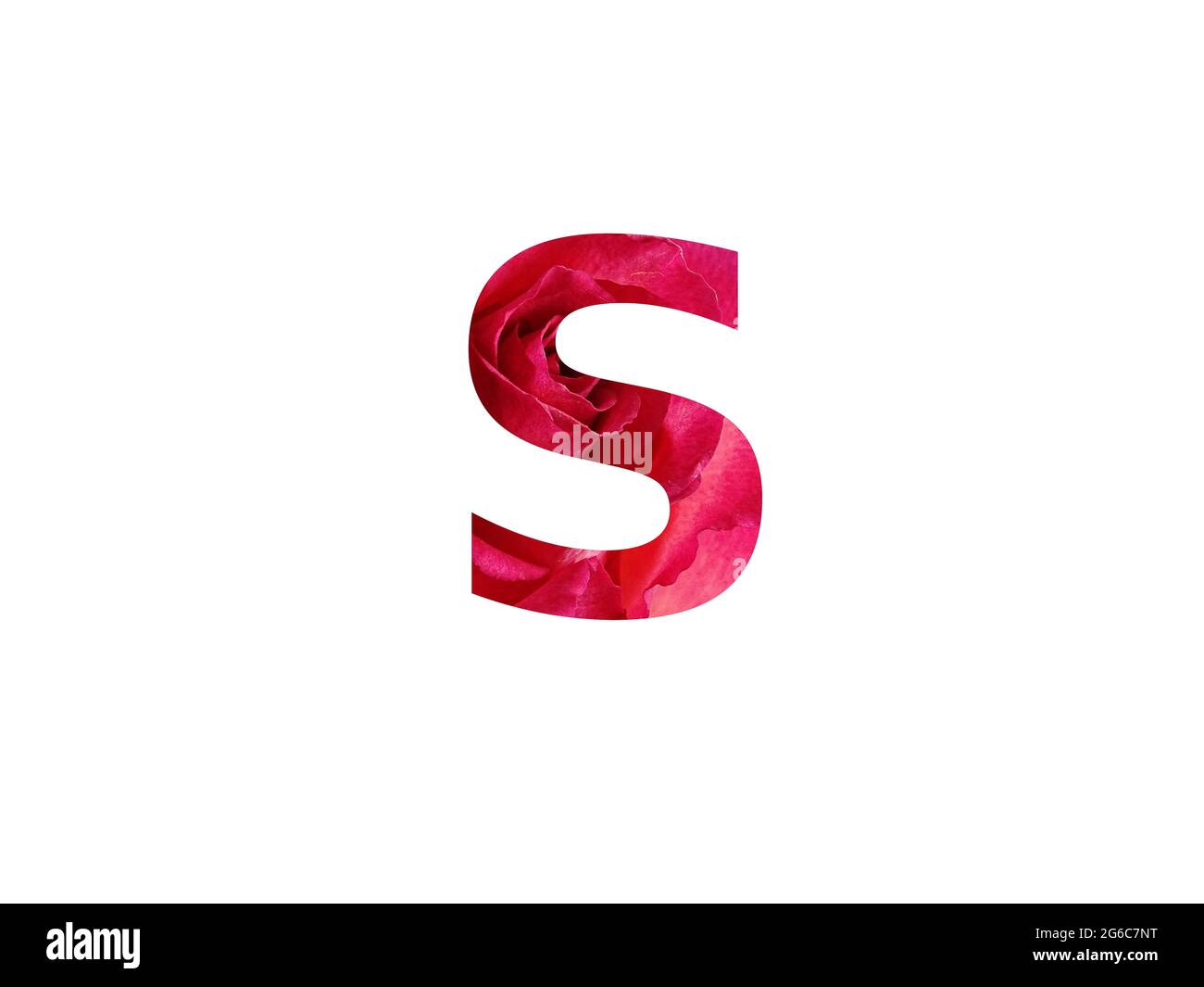 Fancy Red Letter S