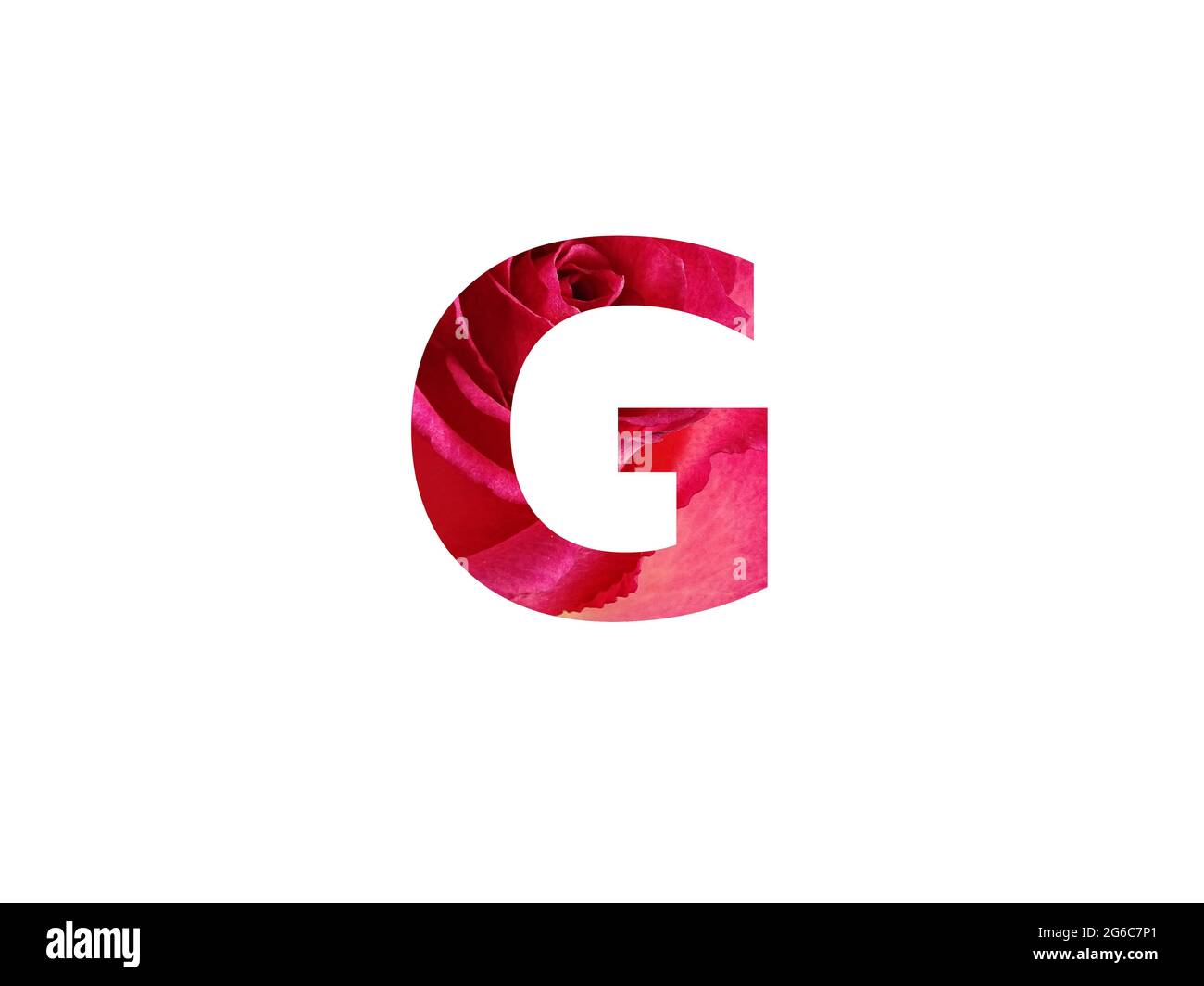 Letter G of the alphabet made with a photo of a red rose, isolated on a ...