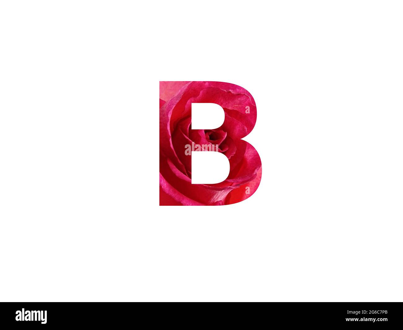 Letter B of the alphabet made with a photo of a red rose, isolated on a ...