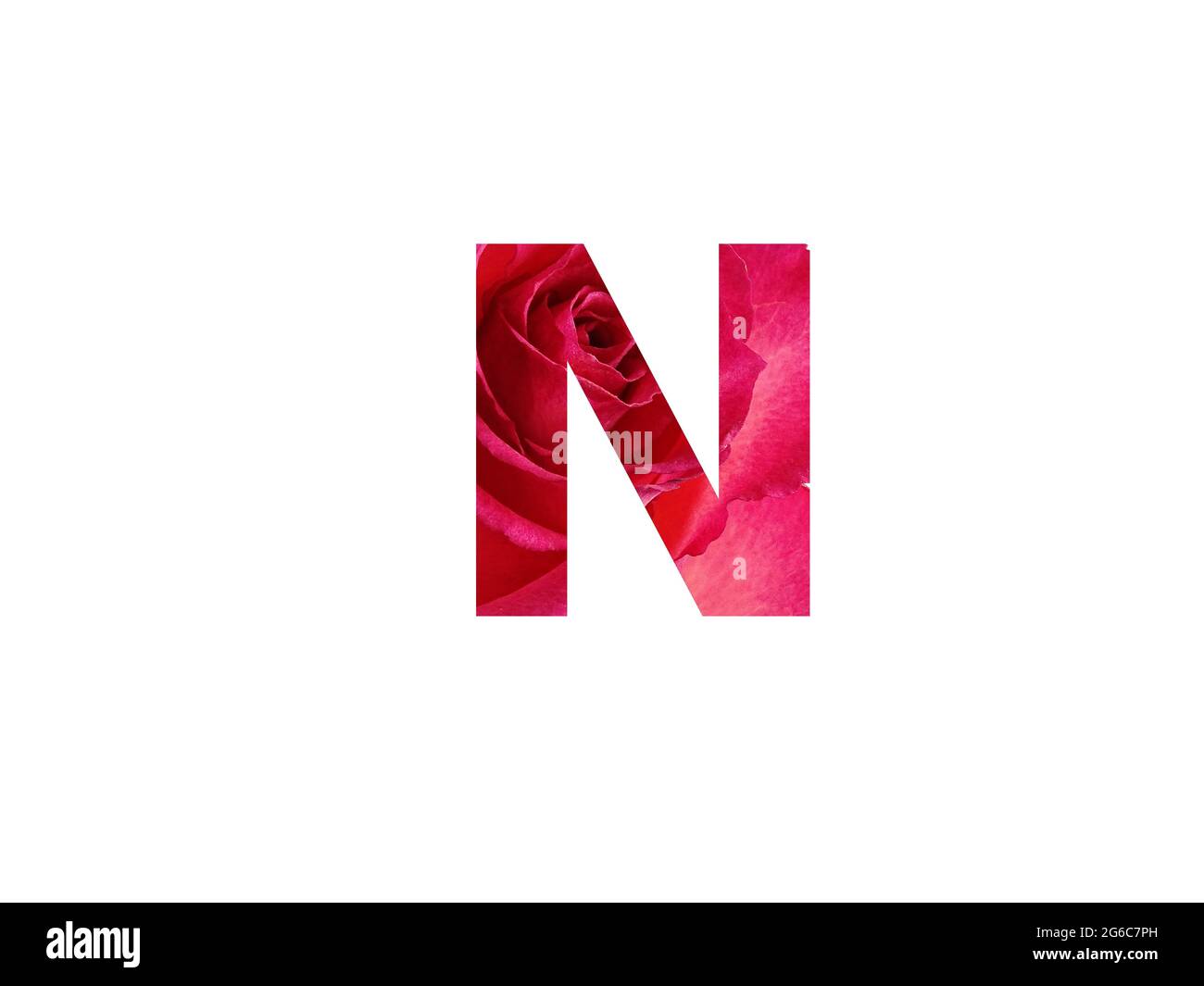 Letter N of the alphabet made with a photo of a red rose, isolated on a ...