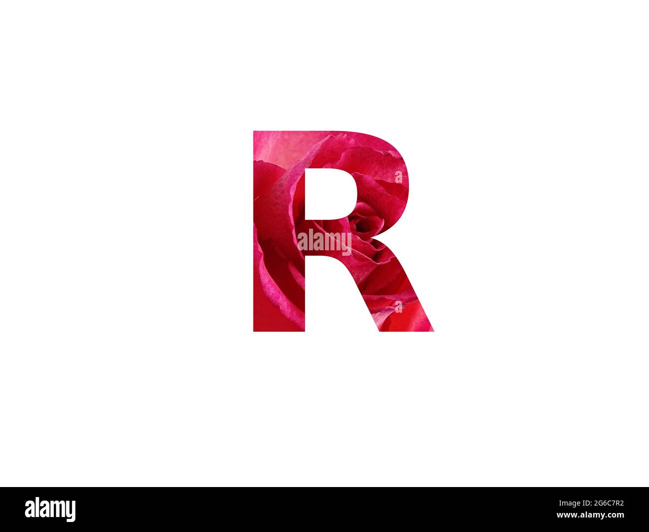 Letter R of the alphabet made with a photo of a red rose, isolated on a ...