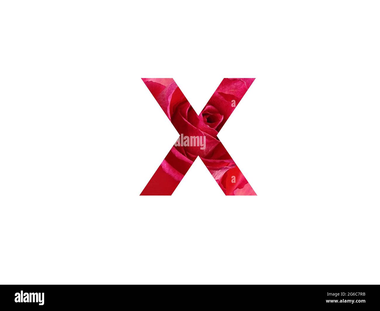 Letter X of the alphabet made with a photo of a red rose, isolated on a ...