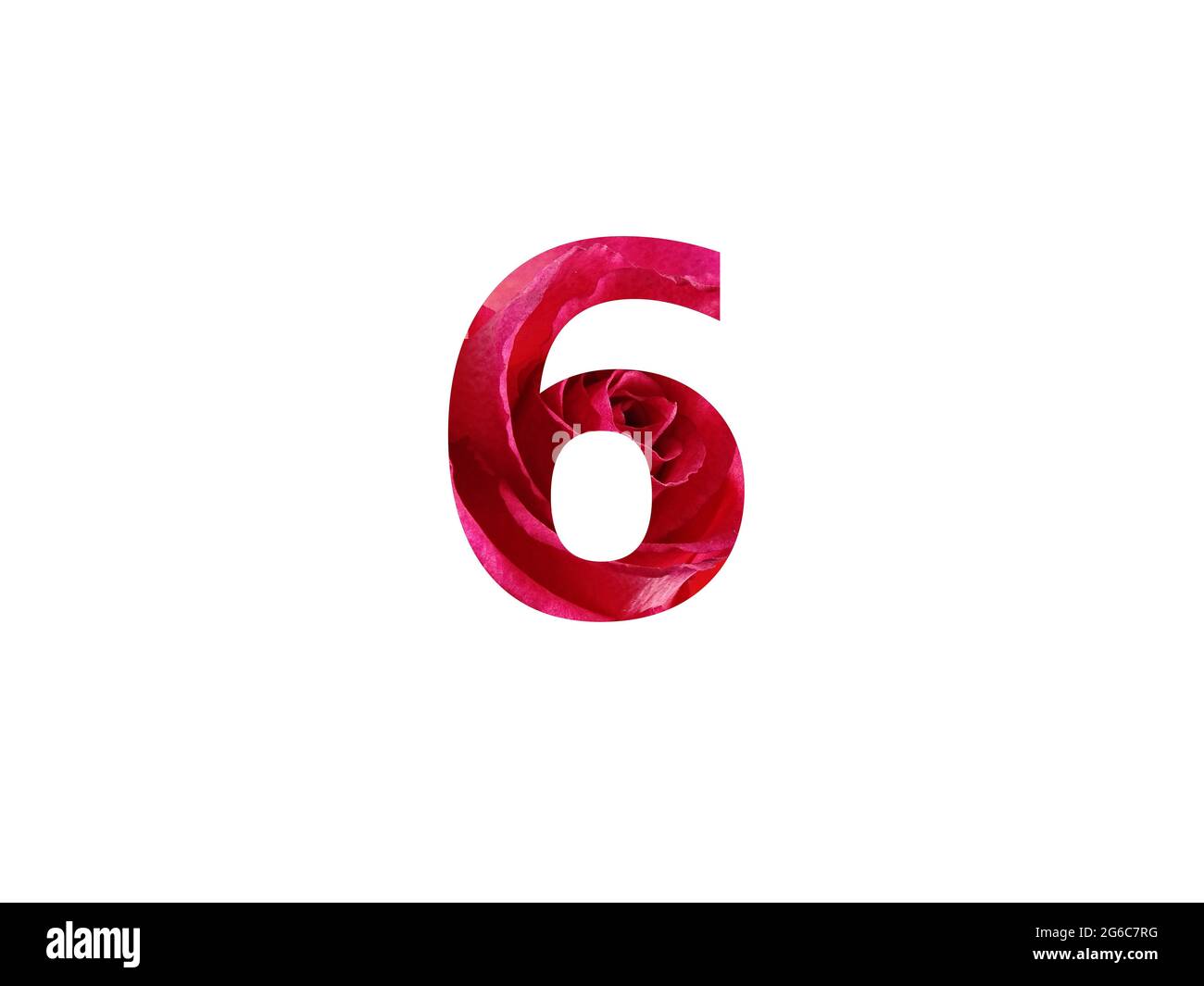 Number 6 of the alphabet made with a photo of a red rose, isolated on a ...