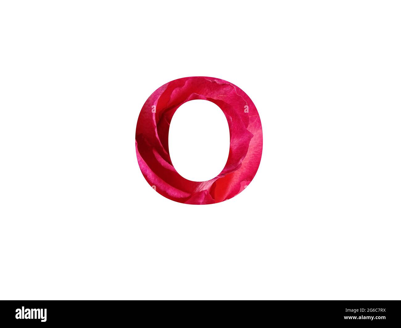 Letter O of the alphabet made with a photo of a red rose, isolated on a ...