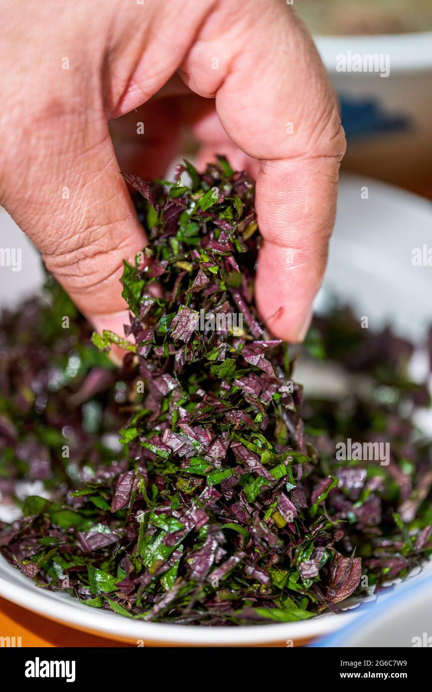 Chinese basil plant hi-res stock photography and images - Alamy