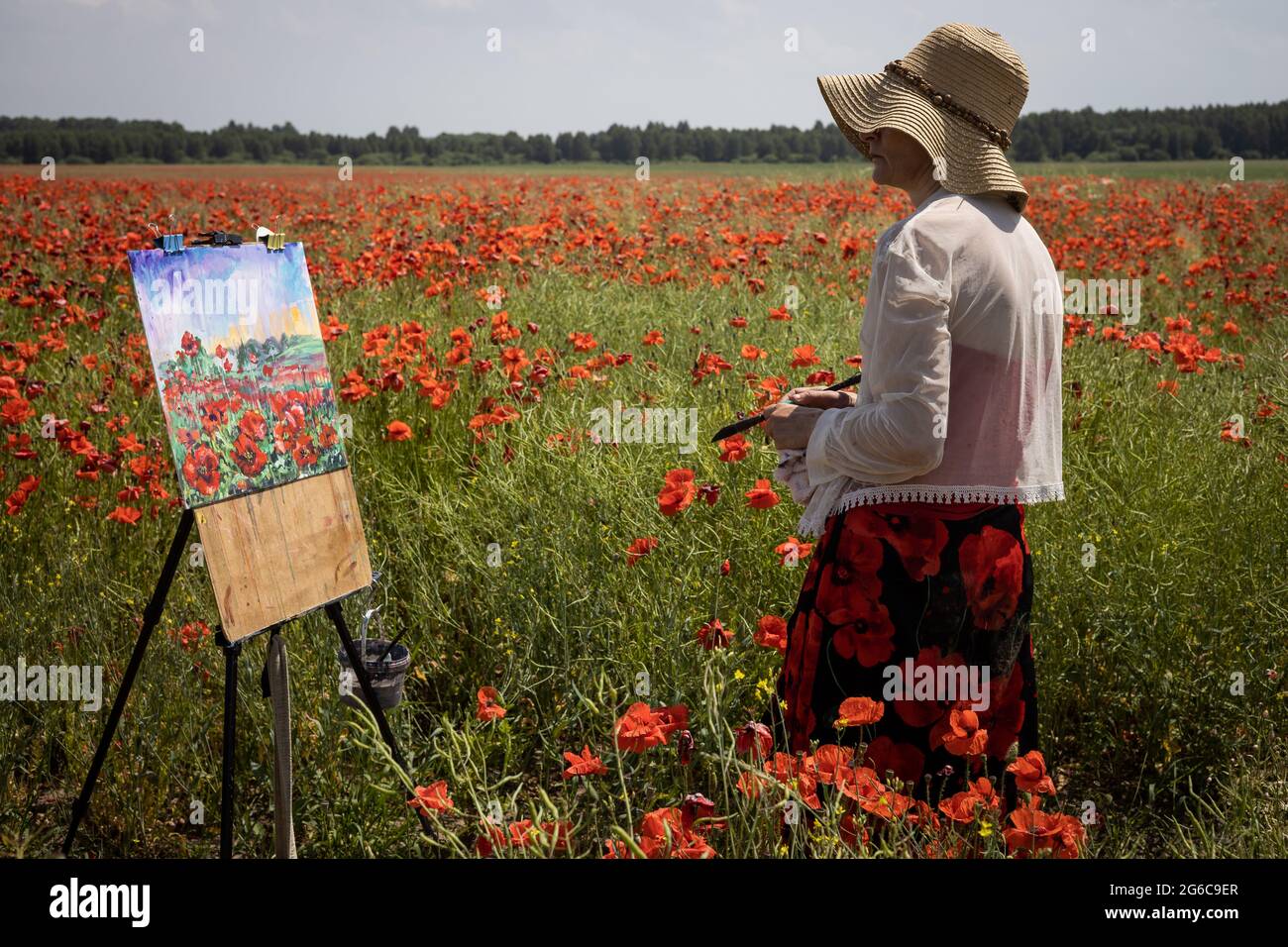 Mature woman artist paints a picture on a field of blooming poppies ...
