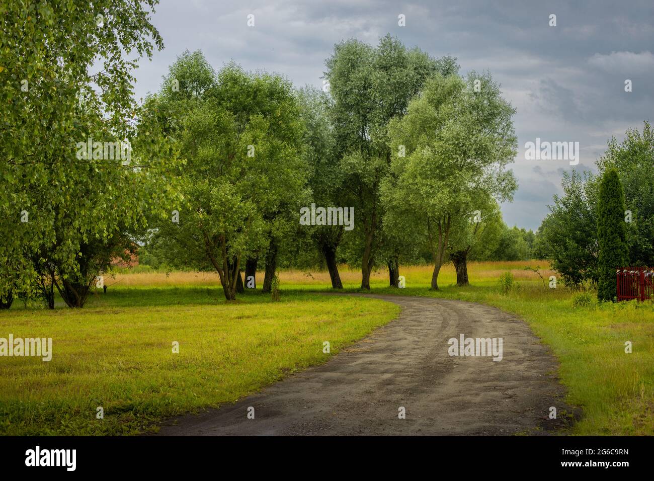 Sandy road with trees and clouds hi-res stock photography and images ...