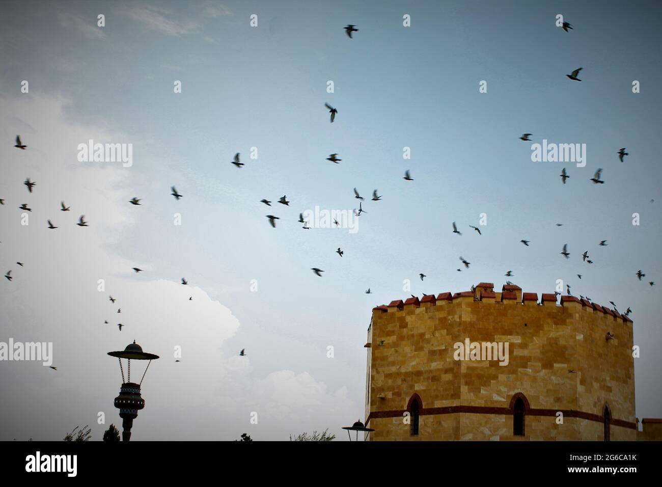 castle walls and the birds flying in the air waiting for the ramparts ...