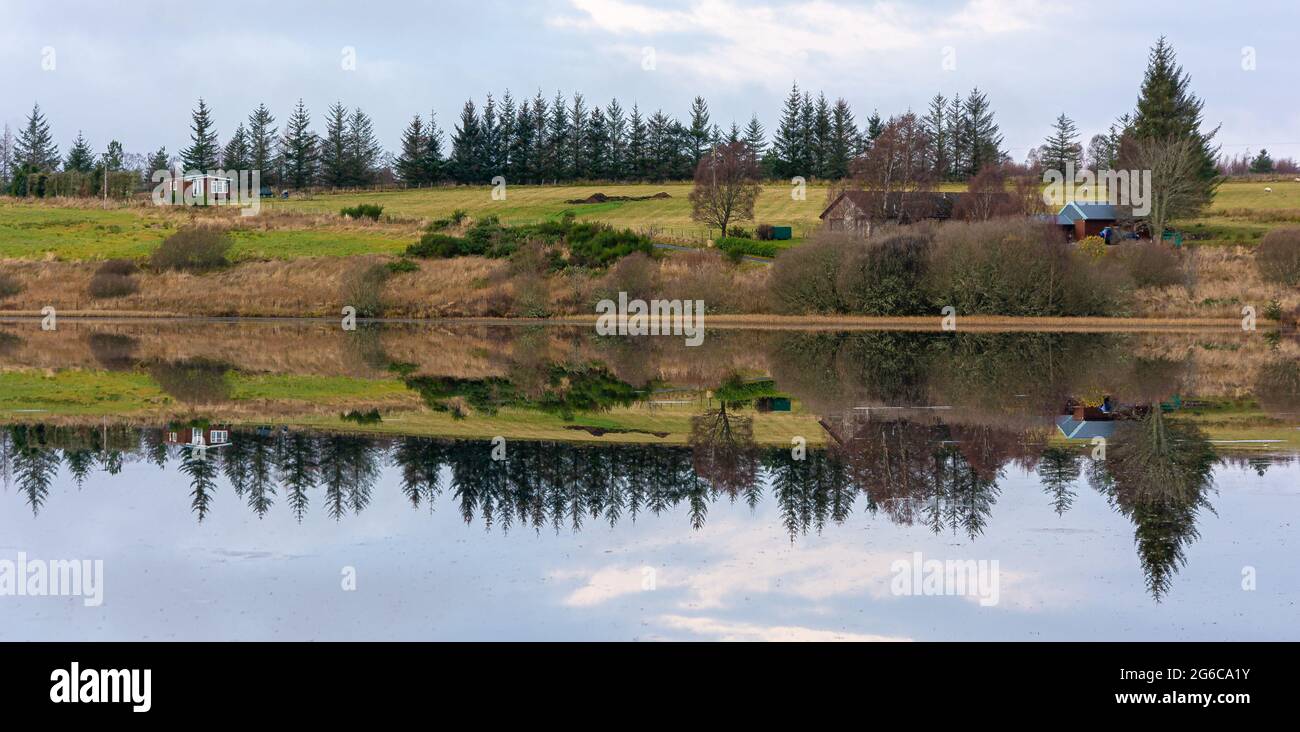 Abriachan tree hi-res stock photography and images - Alamy