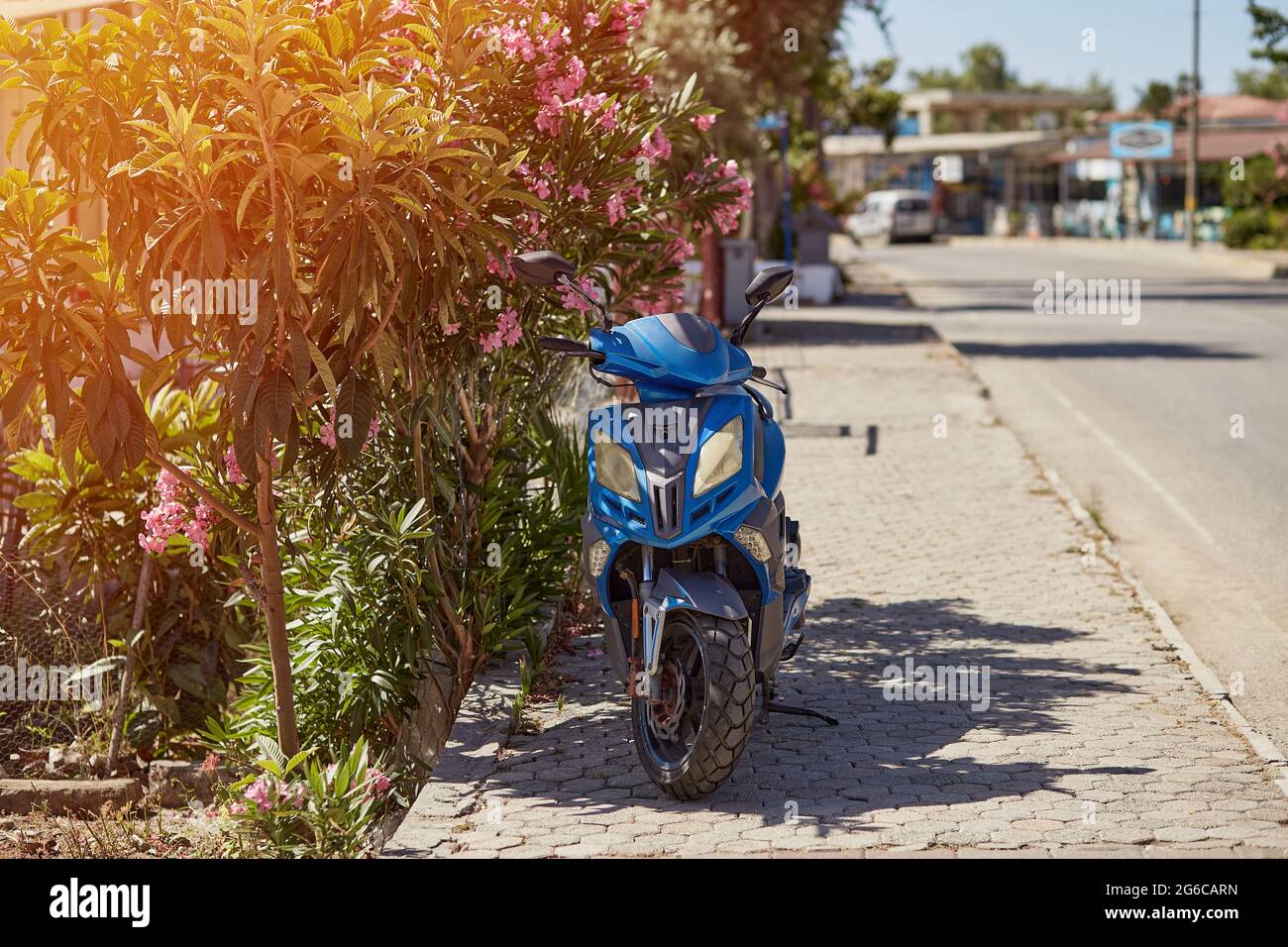 Motorcycle flowers hi-res stock photography and images - Alamy