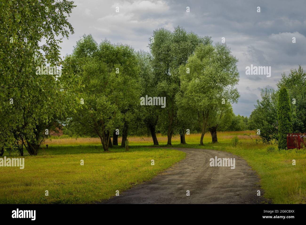 A rural, sandy road among willows. Right before the rain. Rainy clouds ...