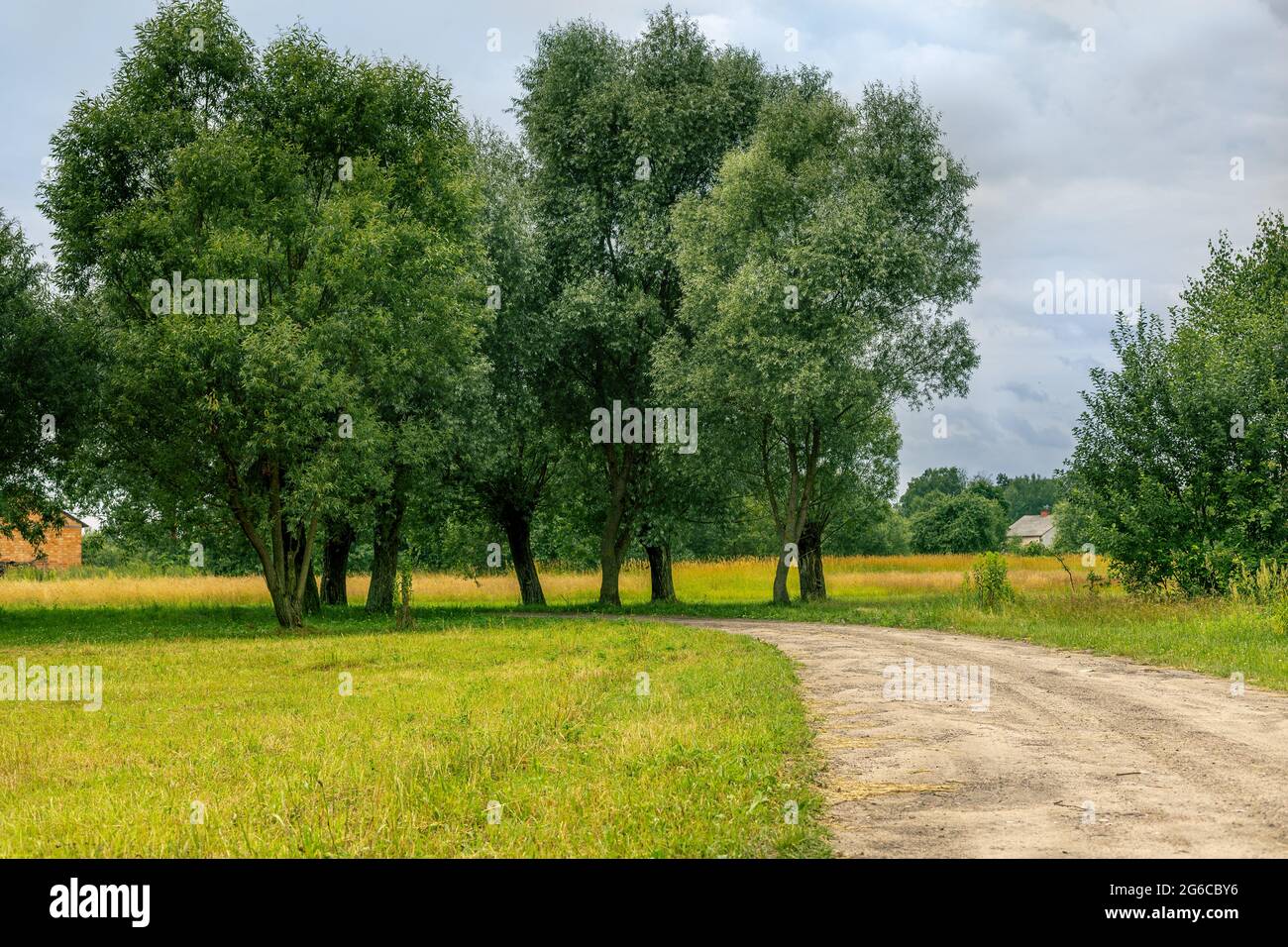 Sandy road with trees and clouds hi-res stock photography and images ...