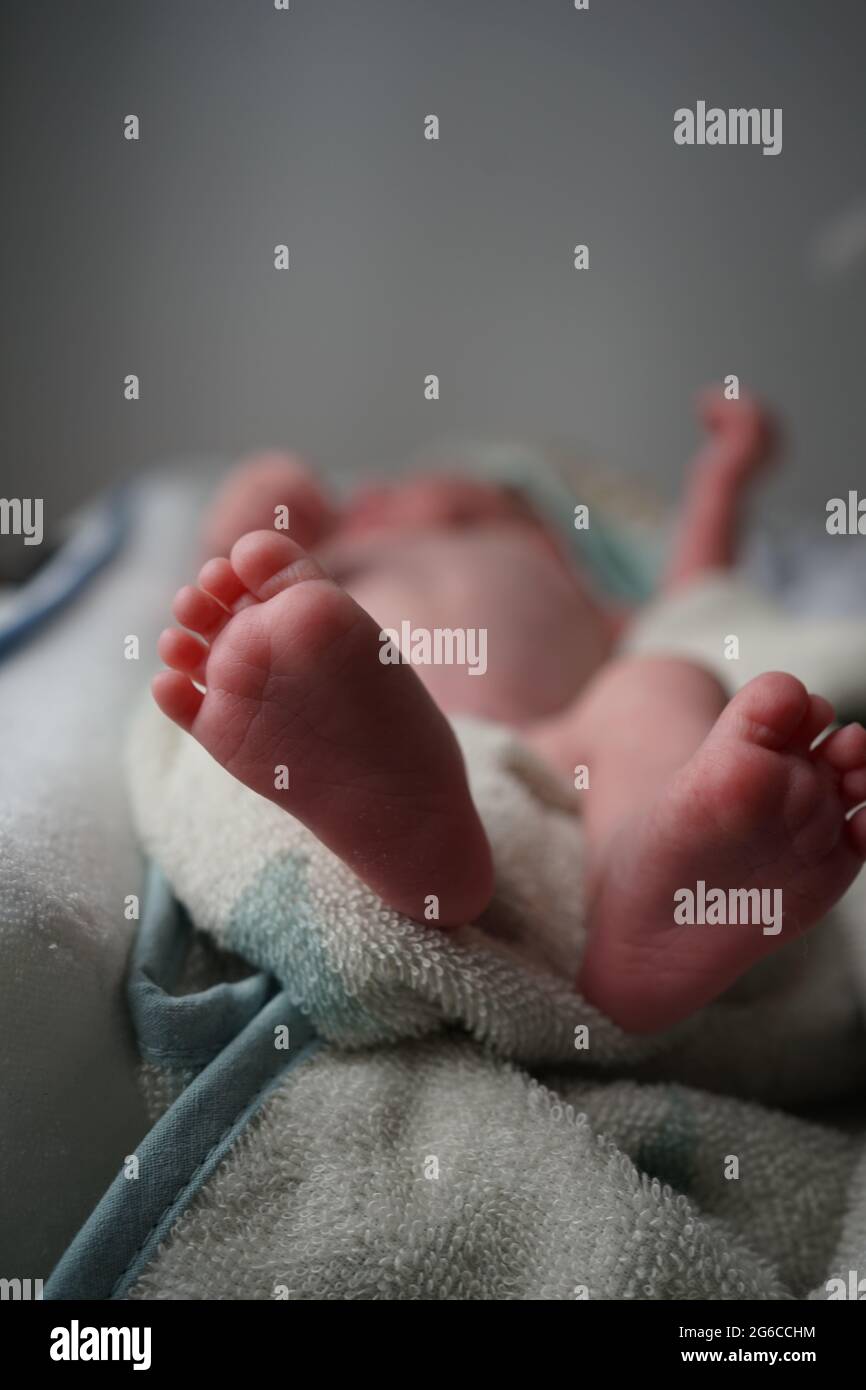 Premature baby feet hi-res stock photography and images - Alamy