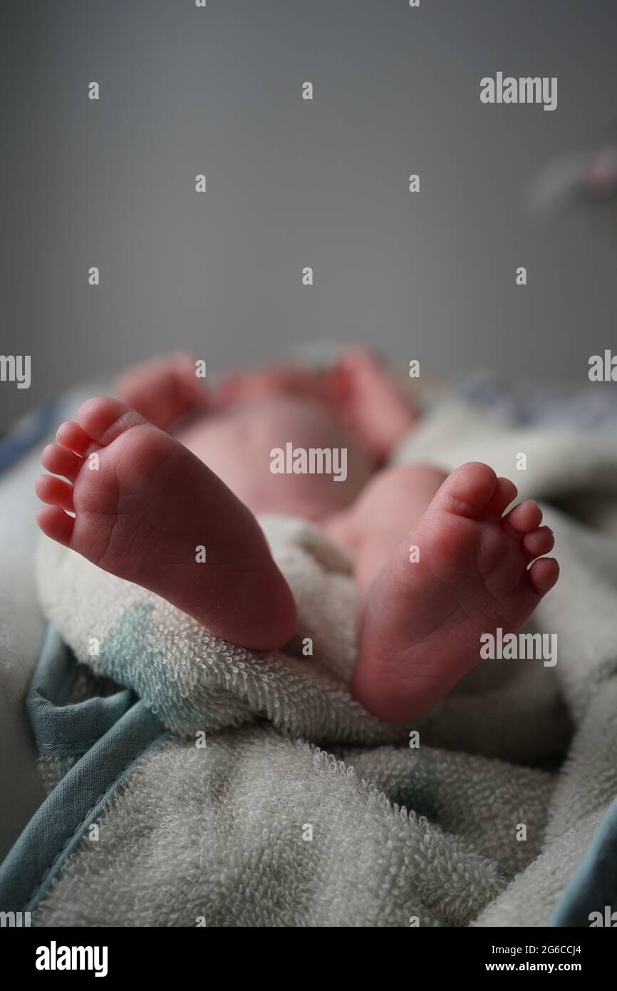Close up of tiny newborn baby feet and toes Stock Photo - Alamy