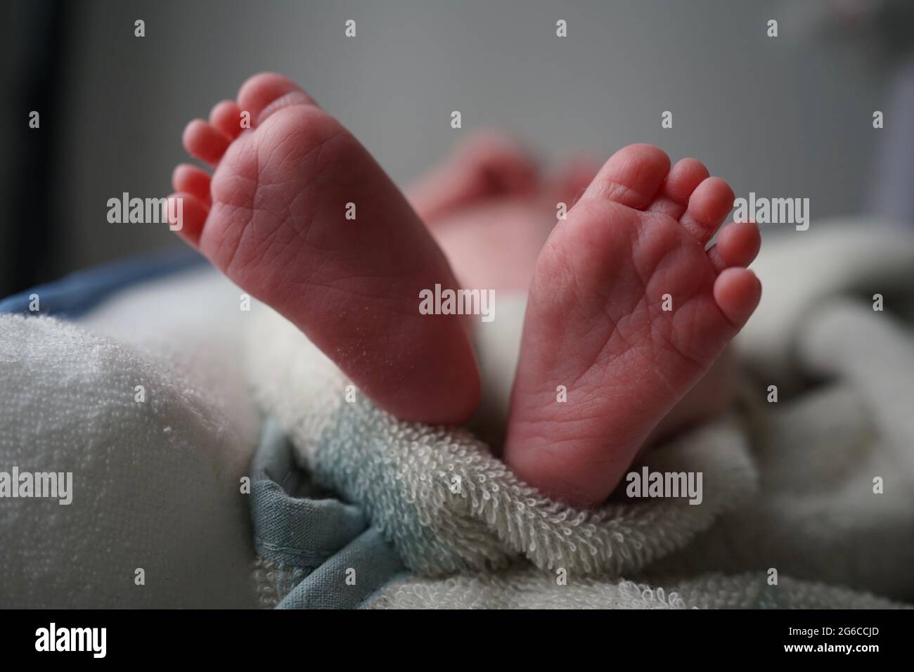 Premature baby feet hi-res stock photography and images - Alamy