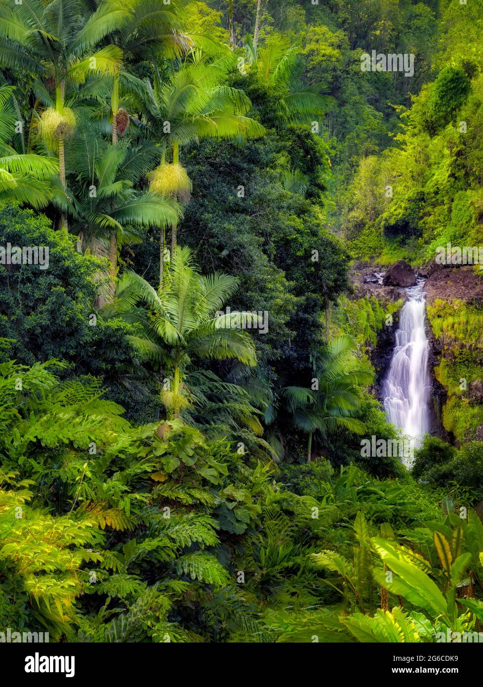 Akaka waterfalls hawaii hi-res stock photography and images - Alamy