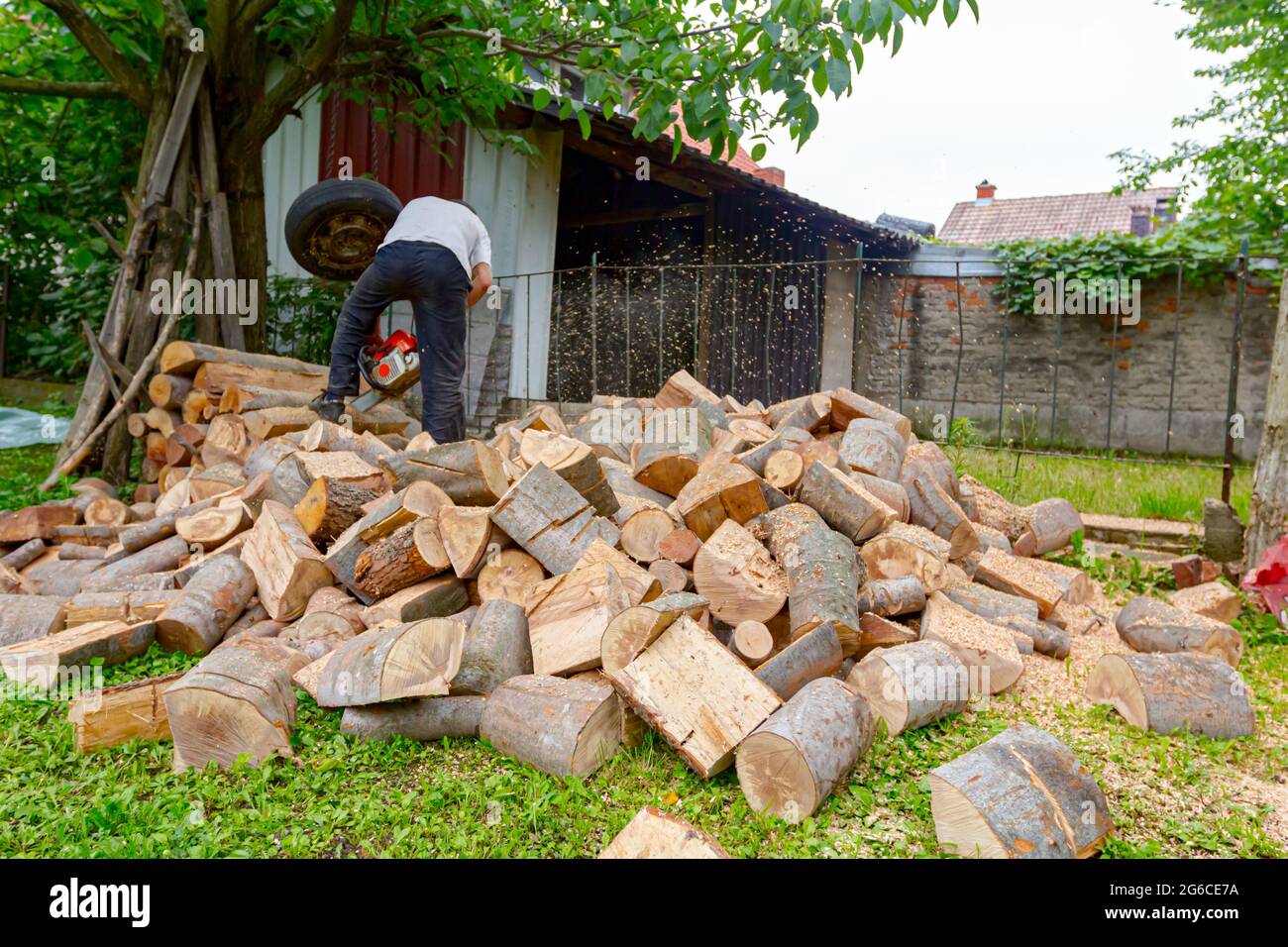 Lumberjack is chopping tree trunks in the yard using professional ...