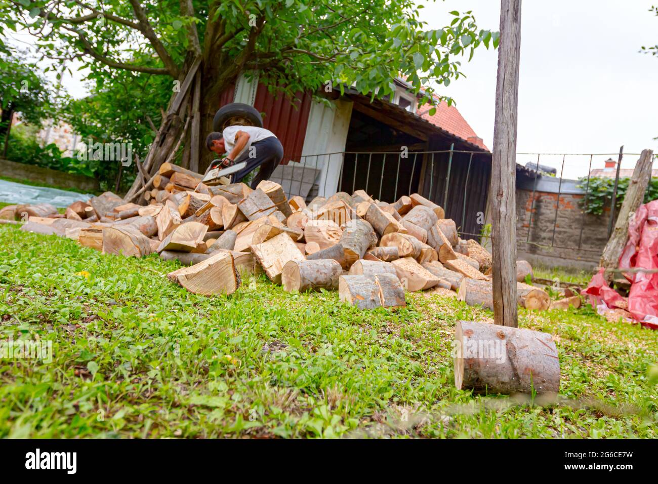 Lumberjack is chopping tree trunks in the yard using professional ...