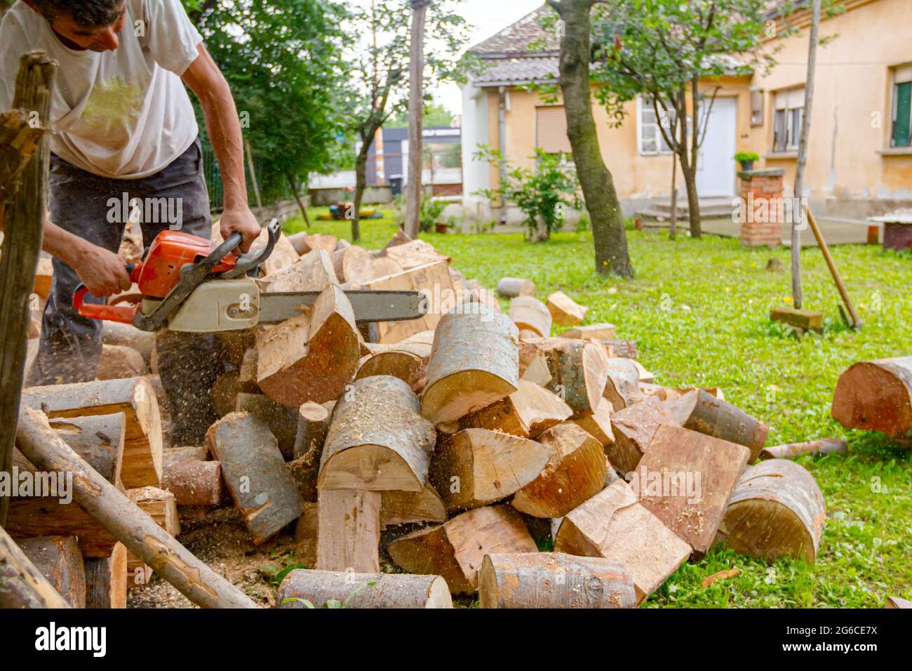 Lumberjack is chopping tree trunks in the yard using professional ...
