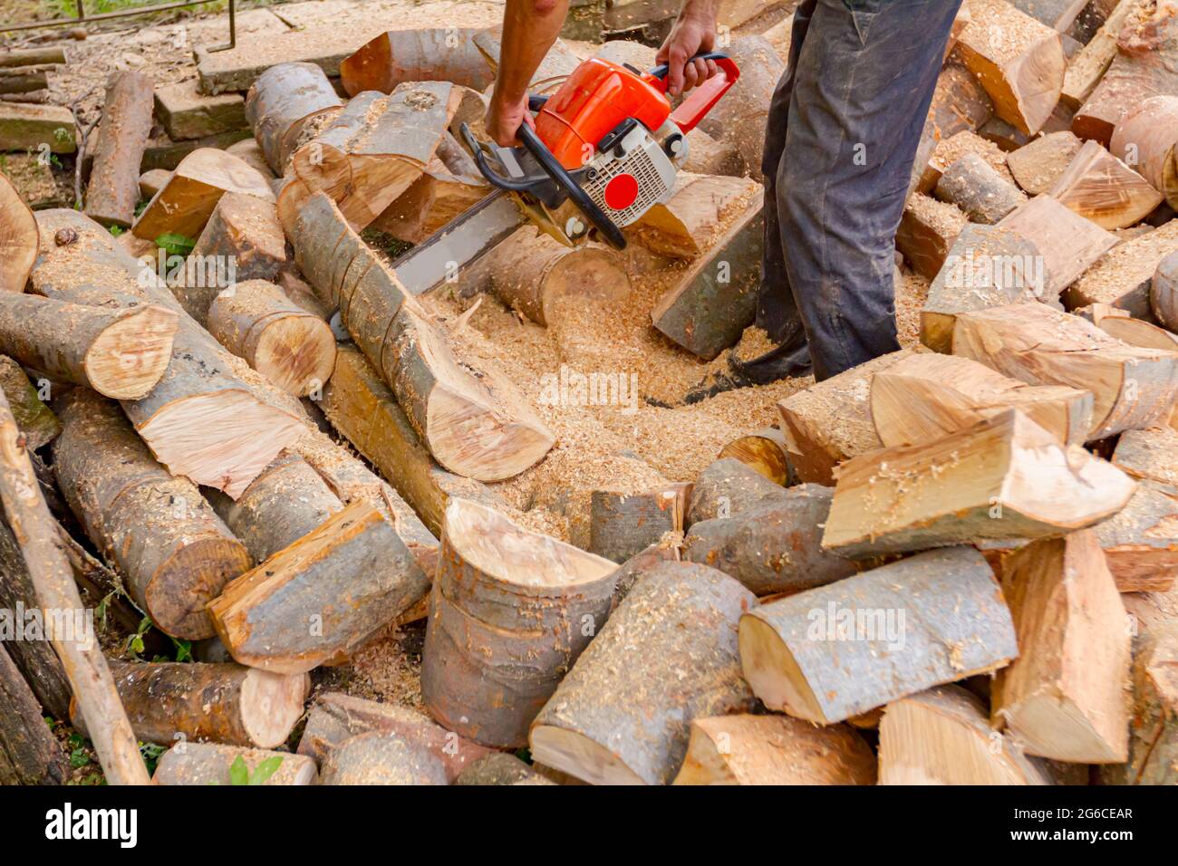 Lumberjack is chopping tree trunks in the yard using professional ...