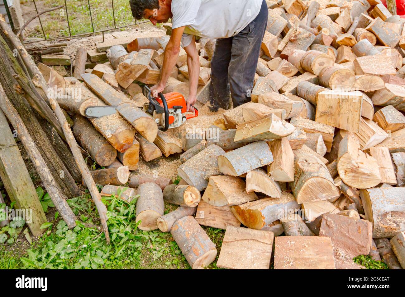 Lumberjack is chopping tree trunks in the yard using professional ...