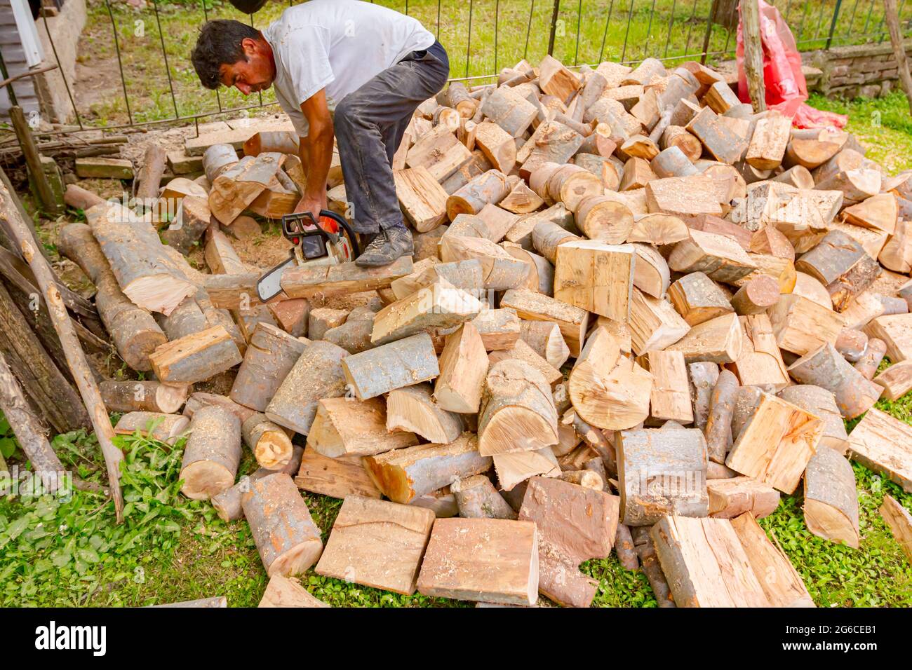 Lumberjack is chopping tree trunks in the yard using professional ...