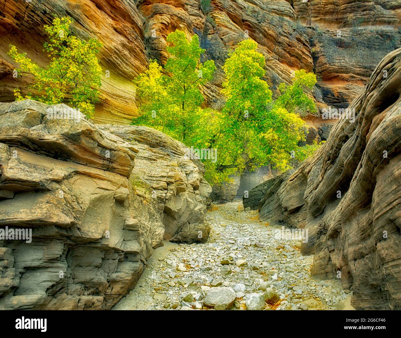 Box elder canyon hi-res stock photography and images - Alamy