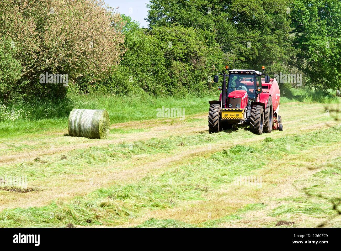 Harvesting of pasture grass for silage Stock Photo - Alamy