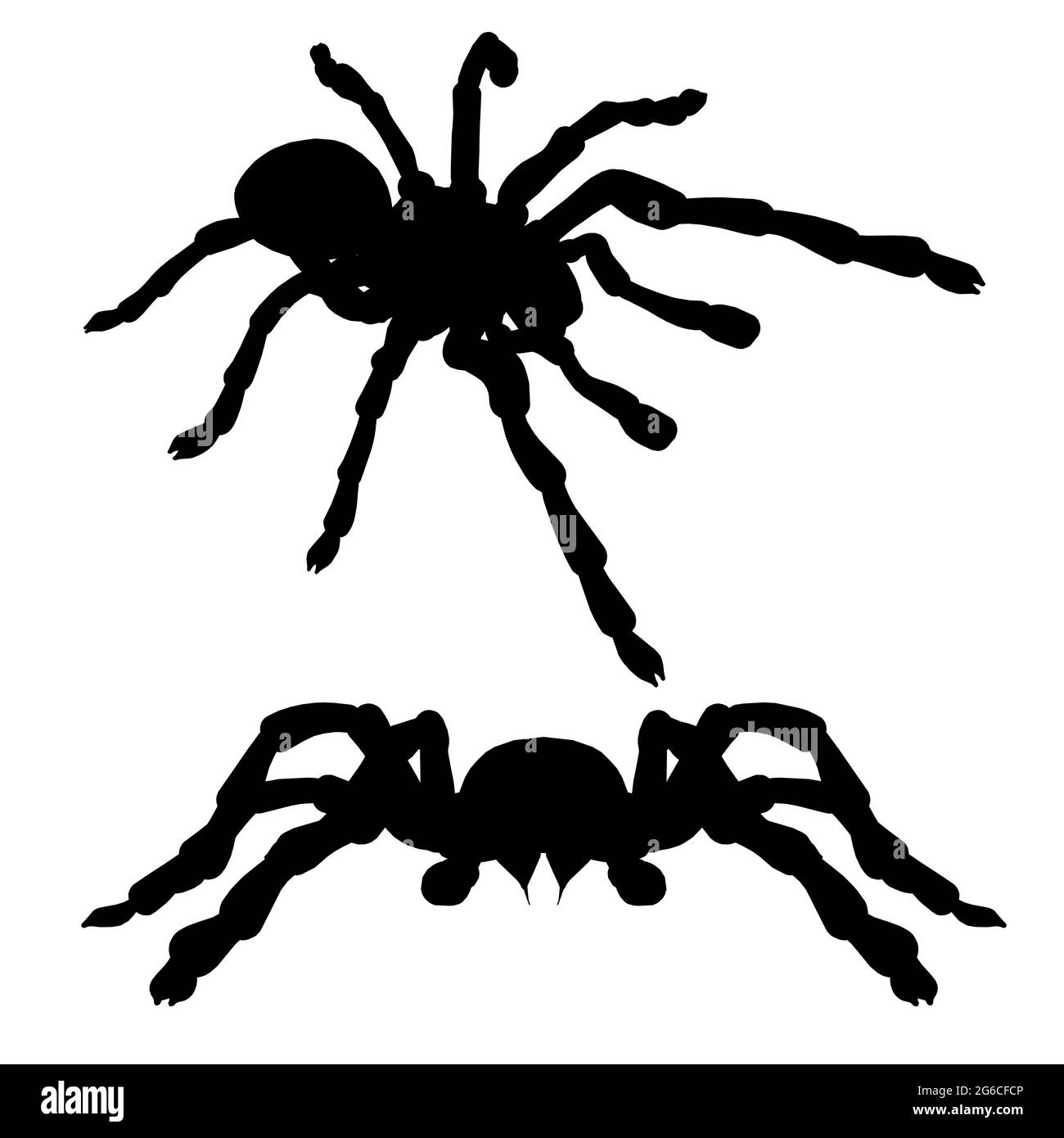 Set with spider silhouettes isolated on white background. Vector ...