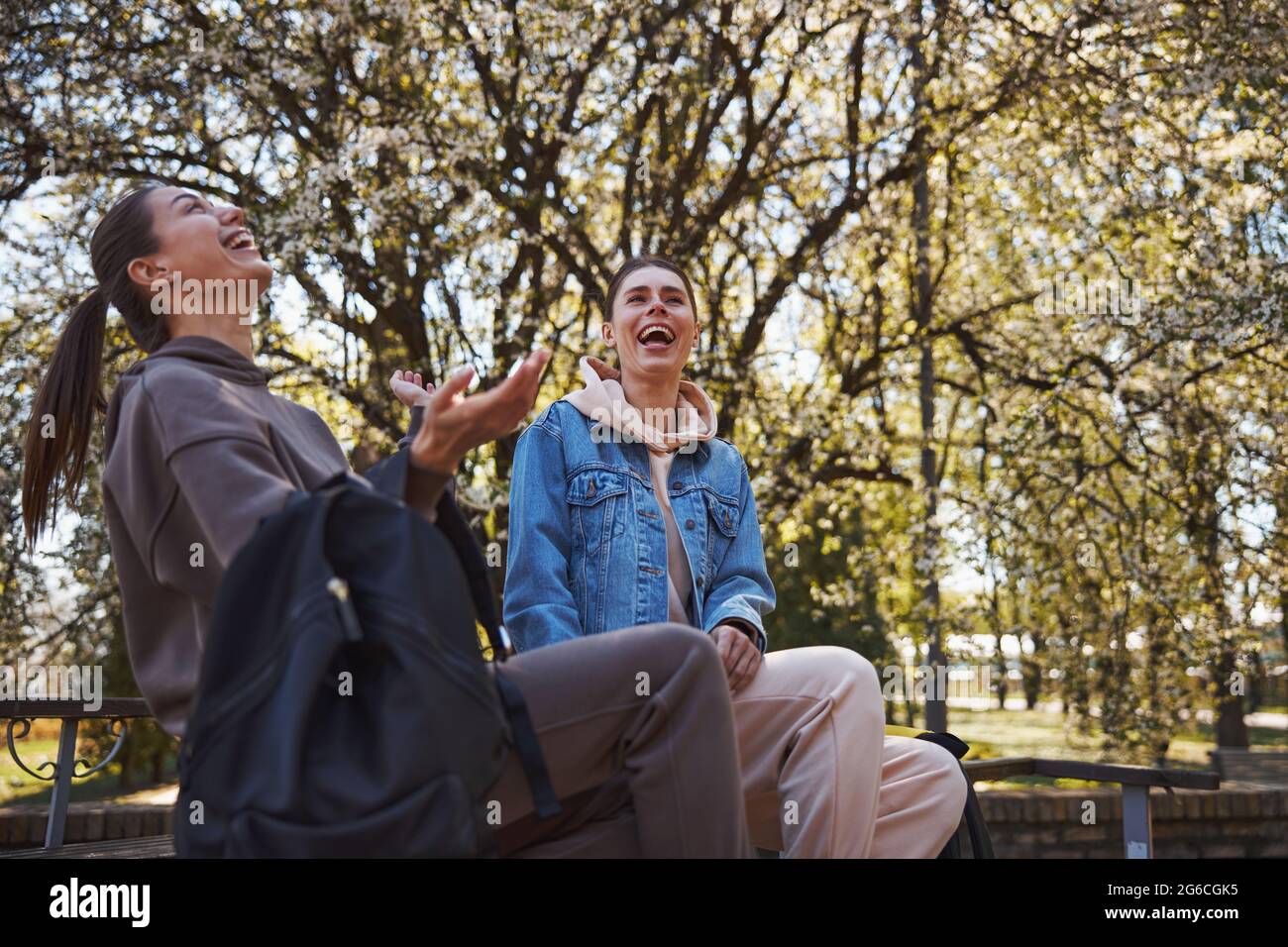 Woman telling joke to friend laughing hi-res stock photography and ...