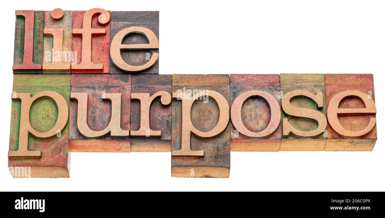 Life purpose banner - isolated word abstract in letterpress wood type ...
