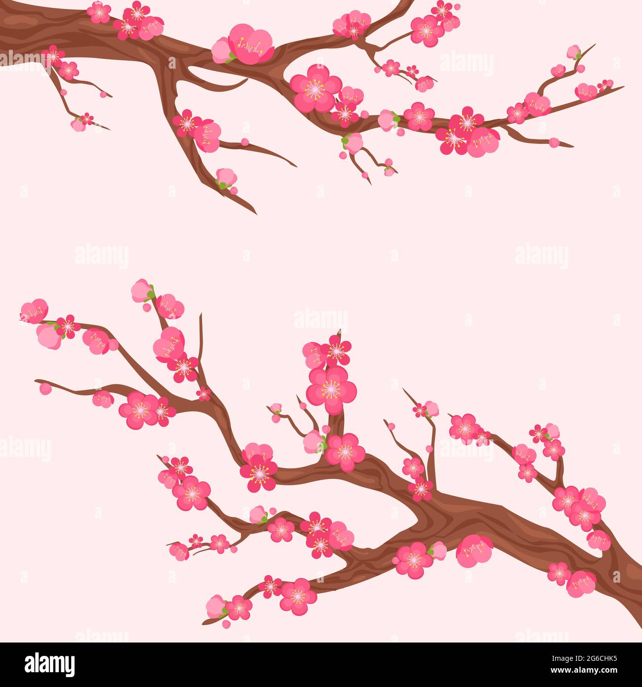 Cherry branch realistic sakura Stock Vector Images - Alamy