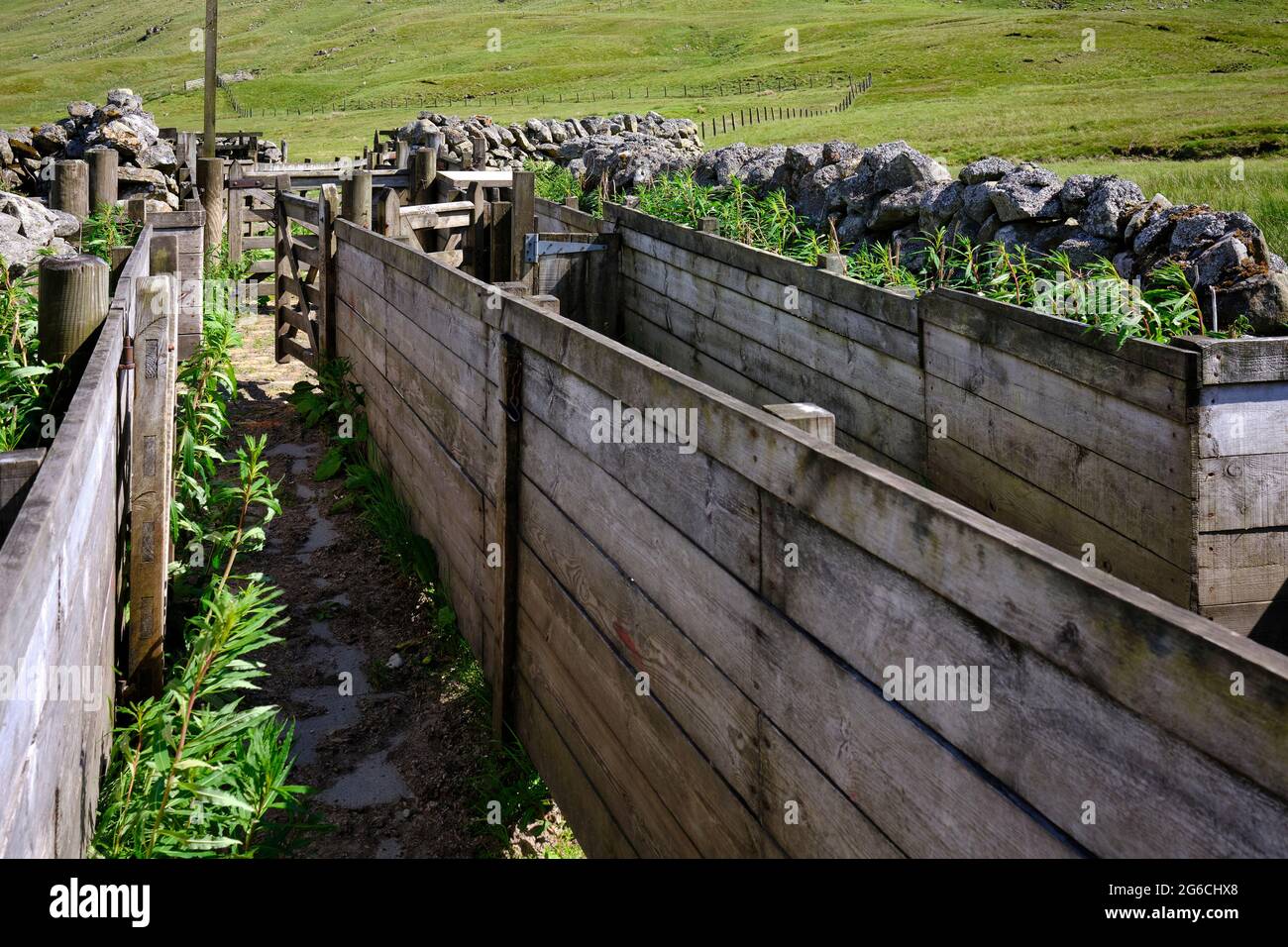Empty sheep pens hi-res stock photography and images - Alamy