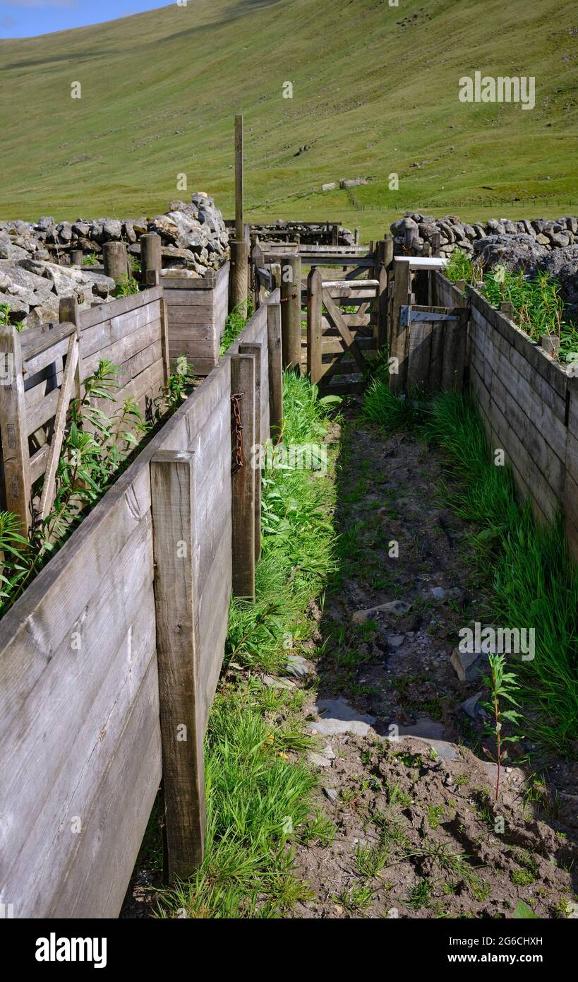 Empty sheep pens hi-res stock photography and images - Alamy