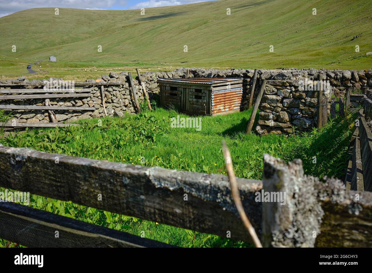 Empty sheep hi-res stock photography and images - Alamy