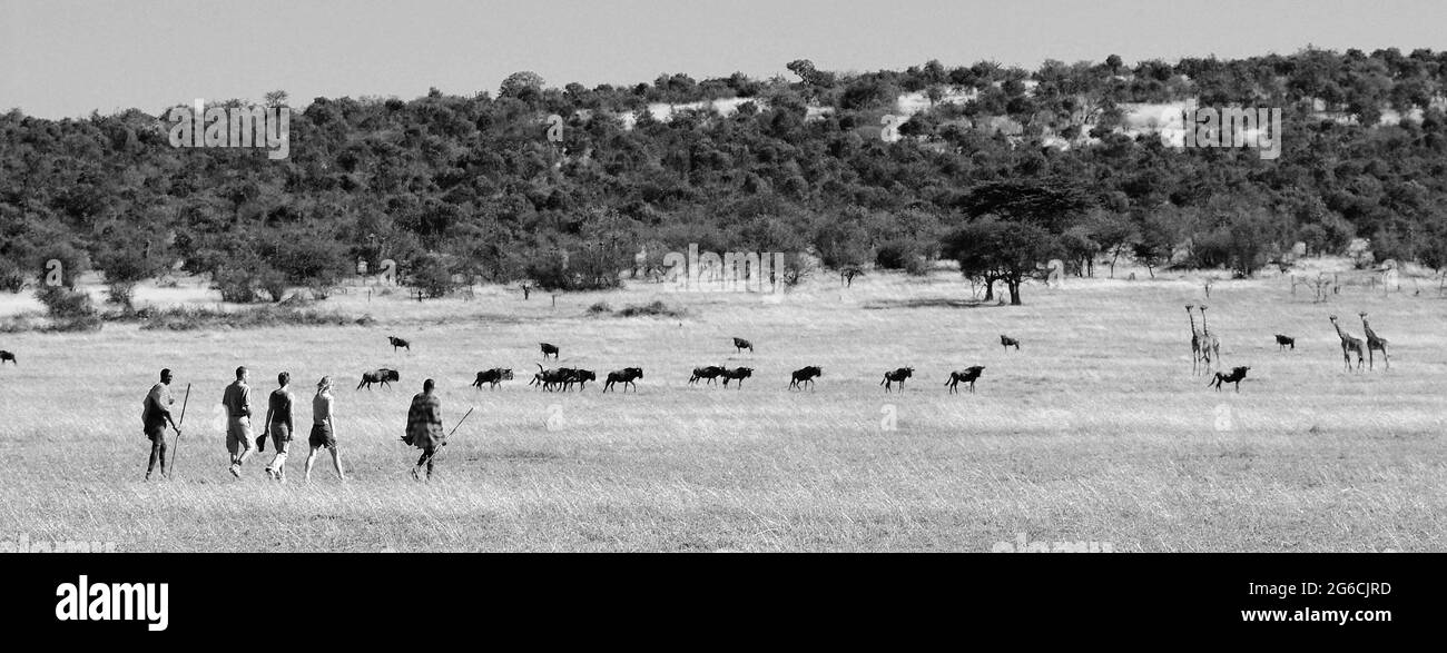 Kenya: savanna landscape with wildlife and local hunters Stock Photo ...